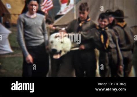 Posing Bear Stock Videos And Footage Hd And 4k Video Clips Alamy