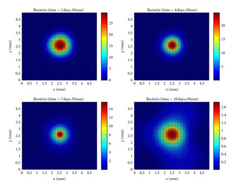 Temporal Evolution And Spatial Distribution Of Bacteria Download Scientific Diagram