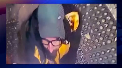 Burglar Caught On Camera Breaking Into West Miami Dade Pet Salon Wsvn