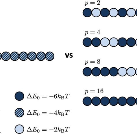 Schematic Of The Polymer Patterns Tested When Exploring Binding Of A Download Scientific
