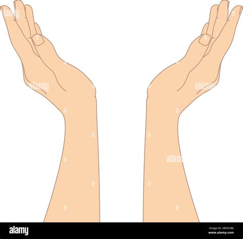 Cupped Hands Clip Art