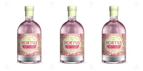 Lidl Is Now Selling Rhubarb And Ginger Gin For Under 12