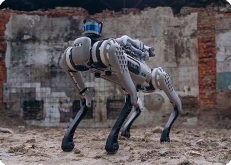 Бионический робот собака Unitree B1 цена от официального дистрибьютера