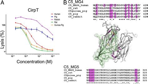 An Inhibitor Of Complement C5 Provides Structural Insights Into