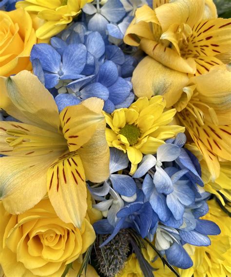 Yellow And Blue Flower Bouquet Flowers Blue And Yellow Yellow And