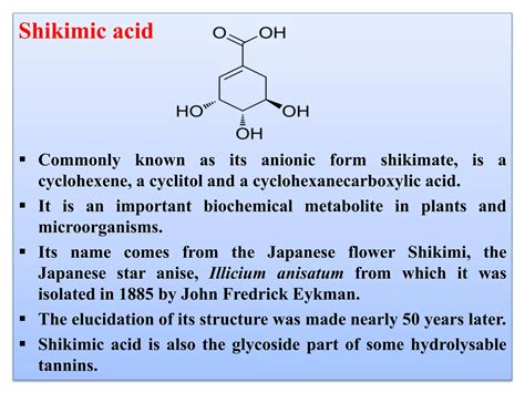 Shikimic Acid Pathway Pptx