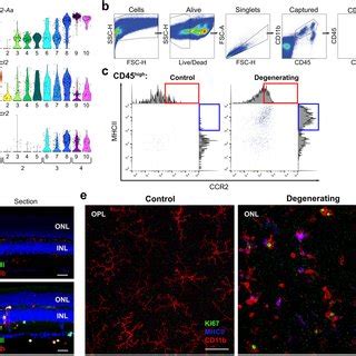Utilizing Traditional Techniques In Combination With ScRNAseq Data To Download Scientific