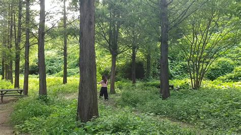 Asmr 숲속걷기 Youtube
