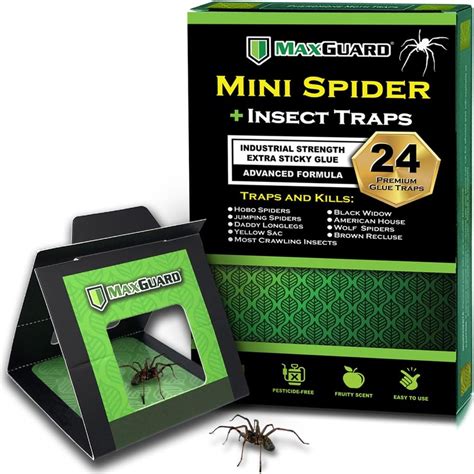 Maxguard Mini Spider Insect Traps 24 Pcs Box Trap Non Toxic Extra