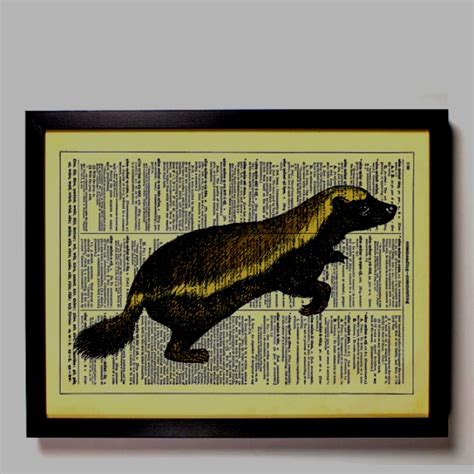 The Honey Badger Fearless And Fierce