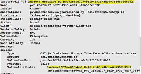 Remote Infrastructure Management NetApp Trident With Kubernetes