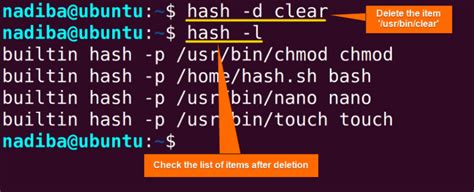 The “hash” Command In Linux 6 Practical Examples