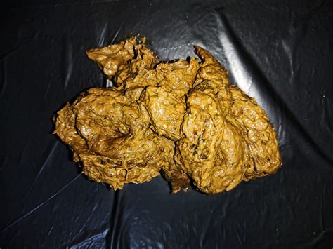 My Poop Collection Image 1626555 Thisvid Tube