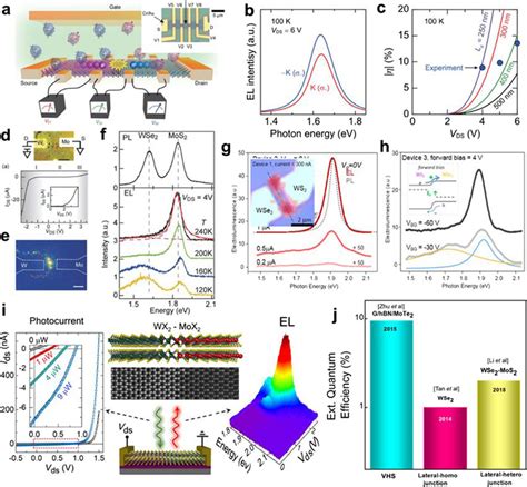 A C Wse 2 Lateral Homojunction A Schematic Of A Multiple Voltage Probe Download Scientific