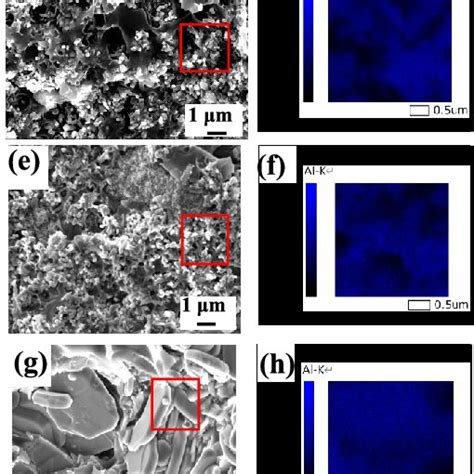 Cross Sectional Analysis Of The Formation Of Conductive Pathways Via Download Scientific