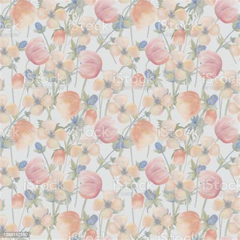 섬세한 양귀비와 바다 홀리꽃 매끄러운 패턴 벽지에 대한 빈티지 스타일의 수채화 일러스트 보헤미안 스타일로 원단에 프린트 초원 식물 은 프로방스 스타일의 배경 0명에 대한