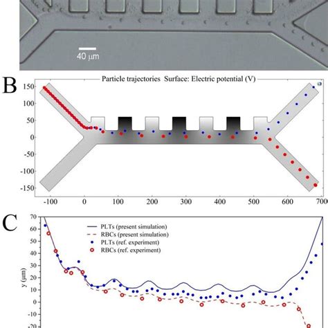 Validation Of The Present Numerical Solution With The Experimental Data Download Scientific