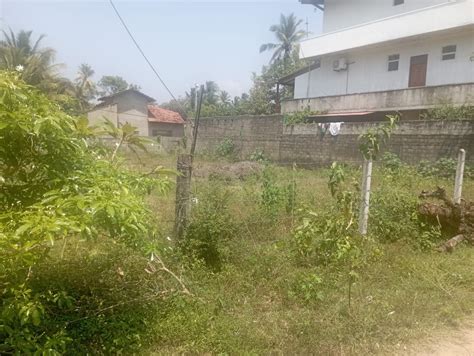 💠 වාද්දුව නගරයේ දුම්රිය පොළ Kumara Properties Panadura