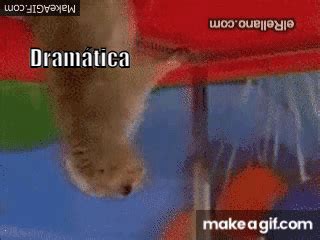 Pov Mi Hermana Cuando La Descobro Con Sus Planes Locos On Make A Gif