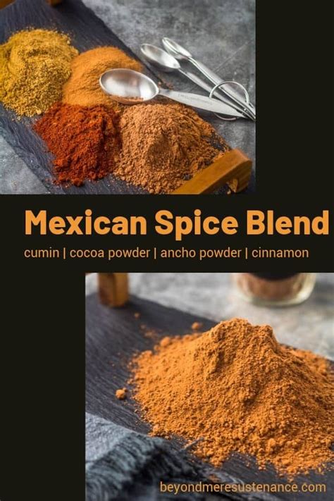 Dry Mexican Mole Spice Blend Recipe • Beyond Mere Sustenance