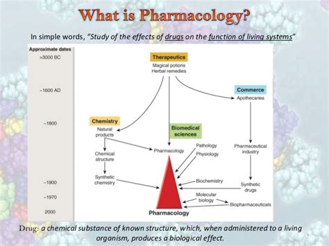 Introduction To Basic Principles Of Pharmacology