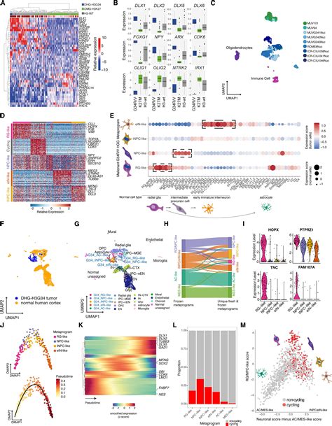 单细胞多数据集整合和去除批次效应教程，代做各领域生信分析单细胞数据分析多样本整合的原则 Csdn博客