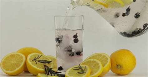 차가운 음료에 유리잔에 넣으세요 음료 유리에 레몬 얼음 및 검은 건포도 각얼음에 대한 스톡 사진 및 기타 이미지 각얼음 감귤류 과일 건강한 생활방식 Istock