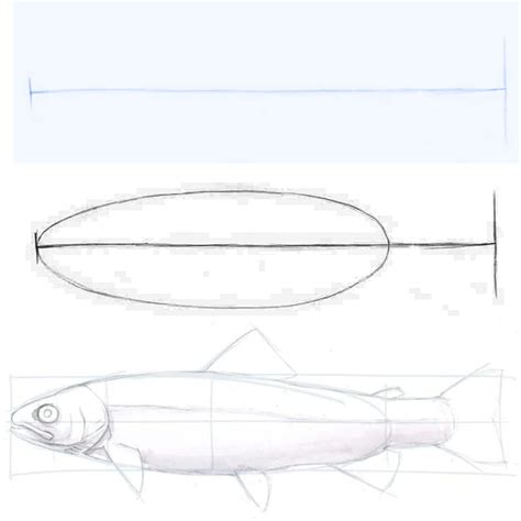SketchMyPic How To Draw A Fish