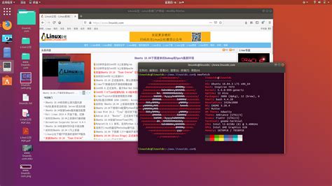 如何使用neofetch在终端中显示linux Ubuntu系统信息 《linux就该这么学》