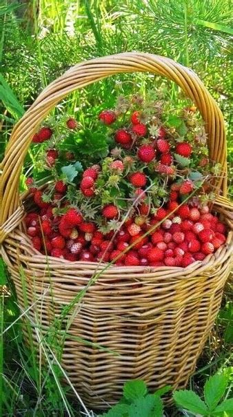 На всех Союз русскоязычных писателей ВКонтакте