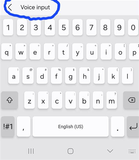 Remove Voice Input Option Rgalaxys23ultra
