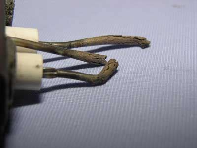 The RV Doctor RV Furnace Maintenance Beyond The Scope