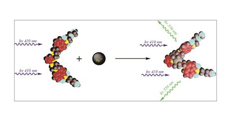 A Highly Selective And Sensitive Fluorescent Chemosensor For Hg2 In Neutral Buffer Aqueous