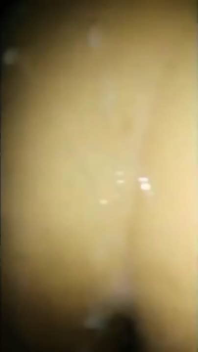 Lonte Lagi Masak Langsung Digas Ajalah Eporner