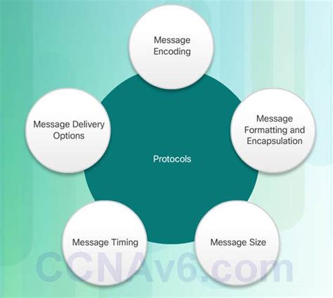 introduction to networks 6 0 instructor materials chapter 3 network