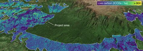 Bezeros Measurement Of Forest Carbon Stocks Bezero Carbon