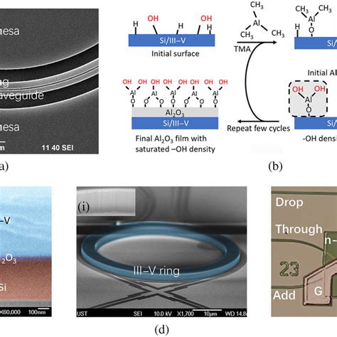A Sem Of The Fabricated Si Microring Waveguide Pattern After Drie