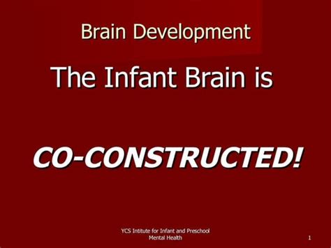 Early Brain Development Pptx
