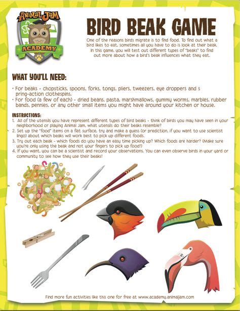 Frog Science Preschool Activities Pre K Printable Fun Frogs Science