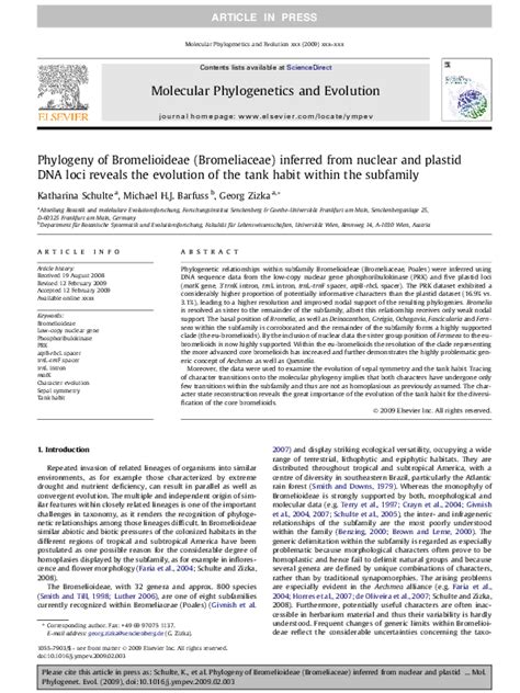 Pdf Phylogeny Of Bromelioideae Bromeliaceae Inferred From Nuclear