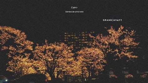 겨울 하얏트 느낌의 보사노바 호텔 재즈 플레이 리스트 I Bossa Nova Jazz Playlist With Grand Hyatt Youtube