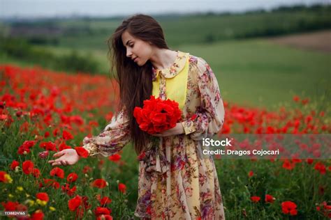 빨간 양 귀 비 꽃 필드 아름 다운 풍경 배경에 서 아름 다운 젊은 여자 긴 머리의 프로필 갈색 머리에 대한 스톡 사진 및 기타