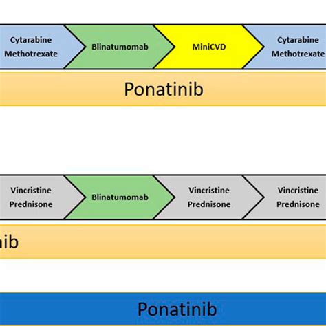 Treatment Schema For The Second Case In Which Mini Download Scientific Diagram