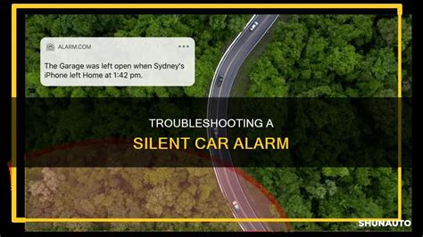 Troubleshooting A Silent Car Alarm Shunauto