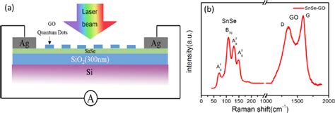 A The Cross Sectional View Of The Photodetector Based On Go Qdssnse Download Scientific