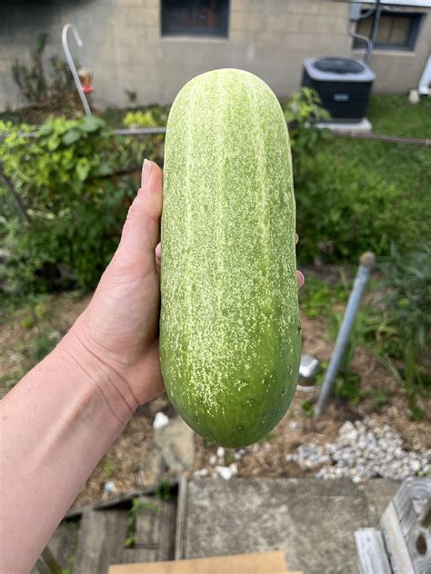 Renaming Cucumber Variety Album On Imgur