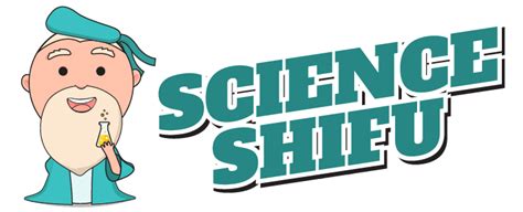 Digestive System Topic Must Know Question The Science Shifu