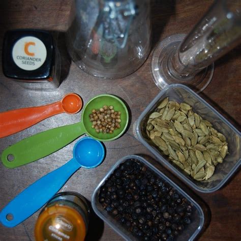 Make Your Own Gin With Foraged Botanicals Compound Method Not Distillation Artofit