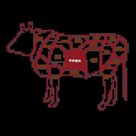 牛肉分解图分割图解剖图 花瓣网